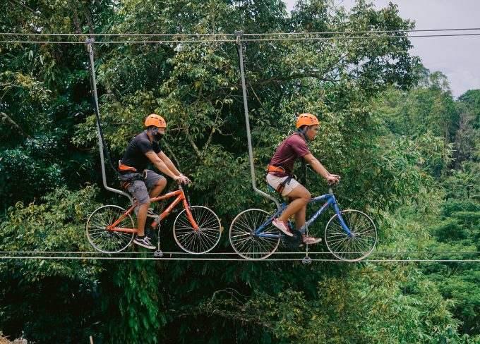 About - Kenjelo Farm